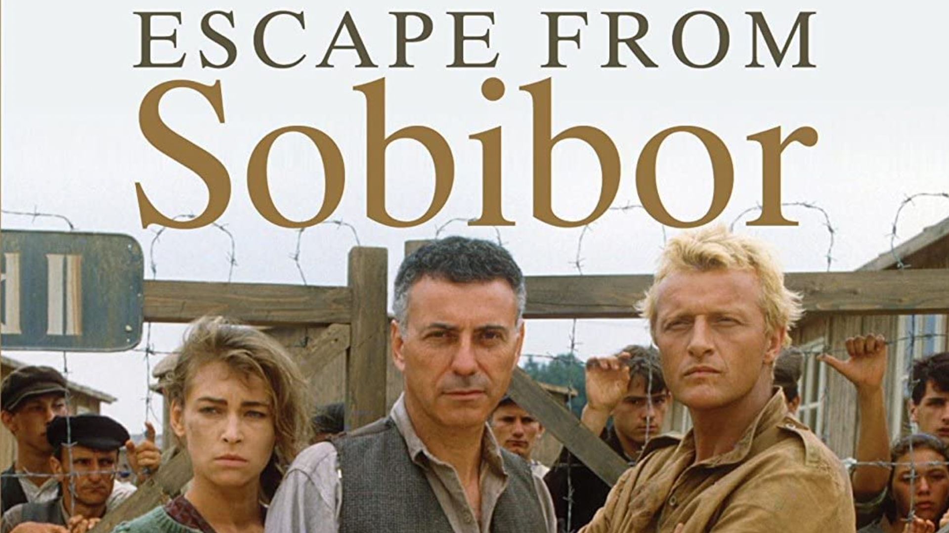 Access Daily With Mario & Kit Live | Watch Access Daily With Mario & Kit HD Live | Access Daily ...